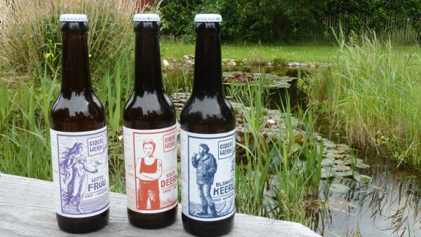 Cider Probierpaket | 6 Flaschen á 0,33l (inkl. Pfand)